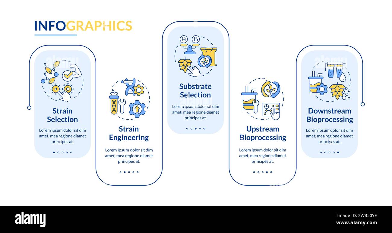 Precision fermentation stages rectangle infographic template Stock ...
