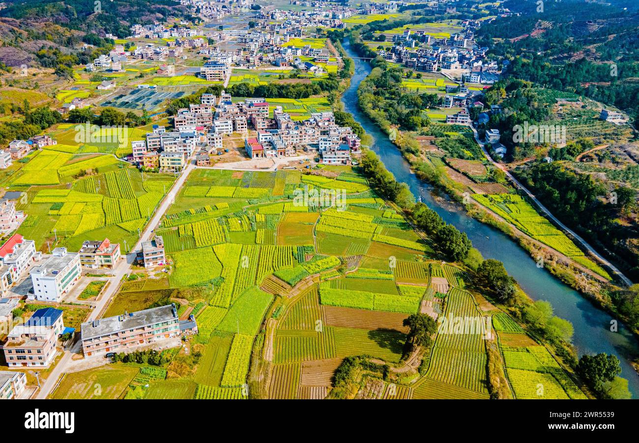 Aerial photo shows the cole flower field in Yudu County, Ganzhou City ...