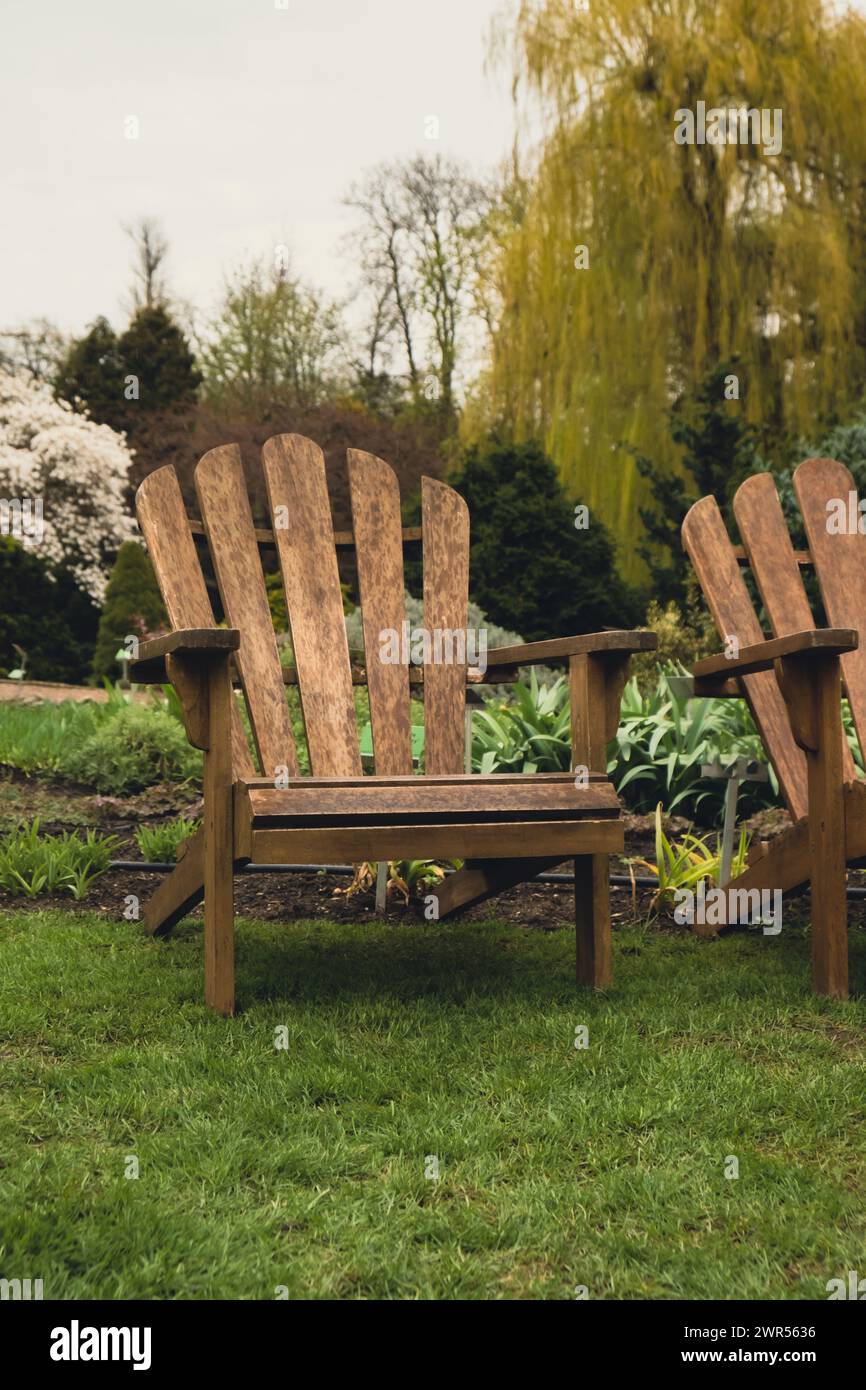 Two Wooden lounges chairs placed on spacious terrace of modern country ...