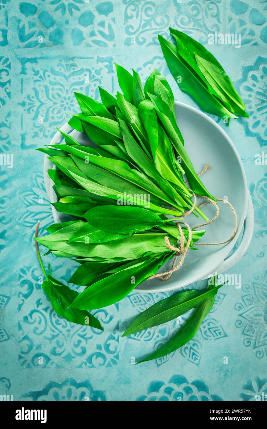Ramson, wild garlic (allium ursinum) on kitchen table Stock Photo - Alamy