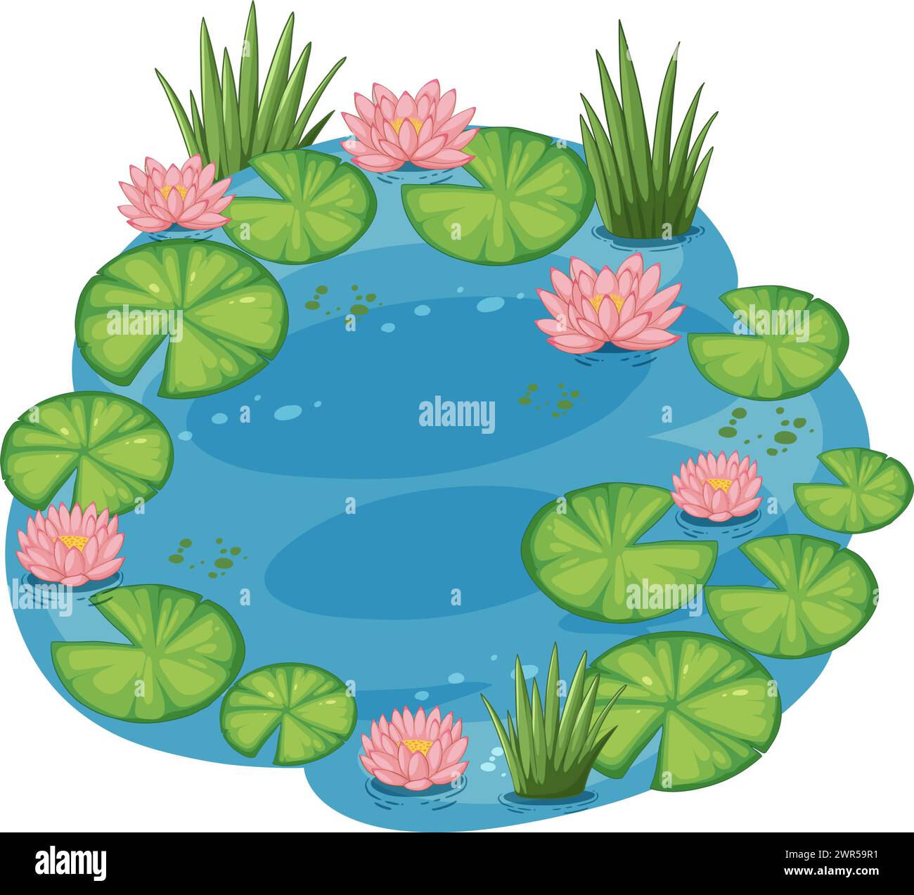 Colorful vector of a peaceful water lily pond Stock Vector Image & Art - Alamy