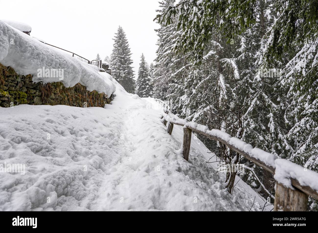 Train in the alps during a snowfall Stock Photo - Alamy