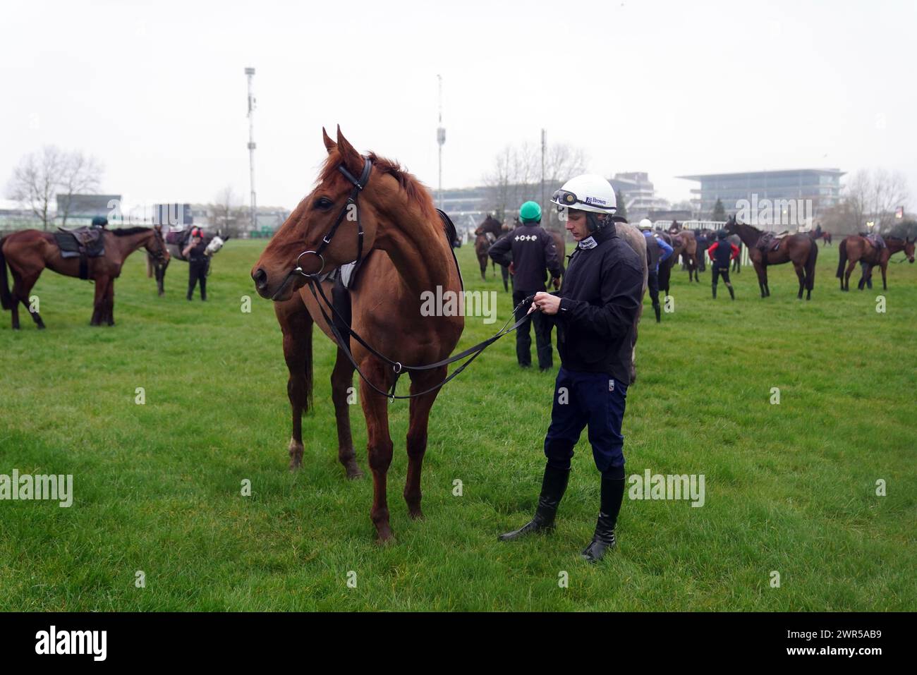 Paul Townend with State Man on the gallops at Cheltenham Racecourse ...