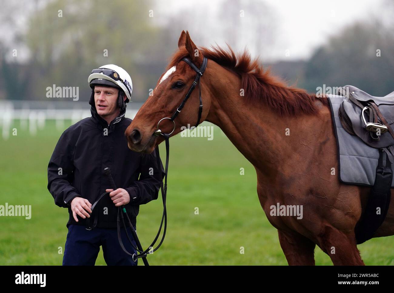 Cheltenham festival 2024 state man hi-res stock photography and images ...