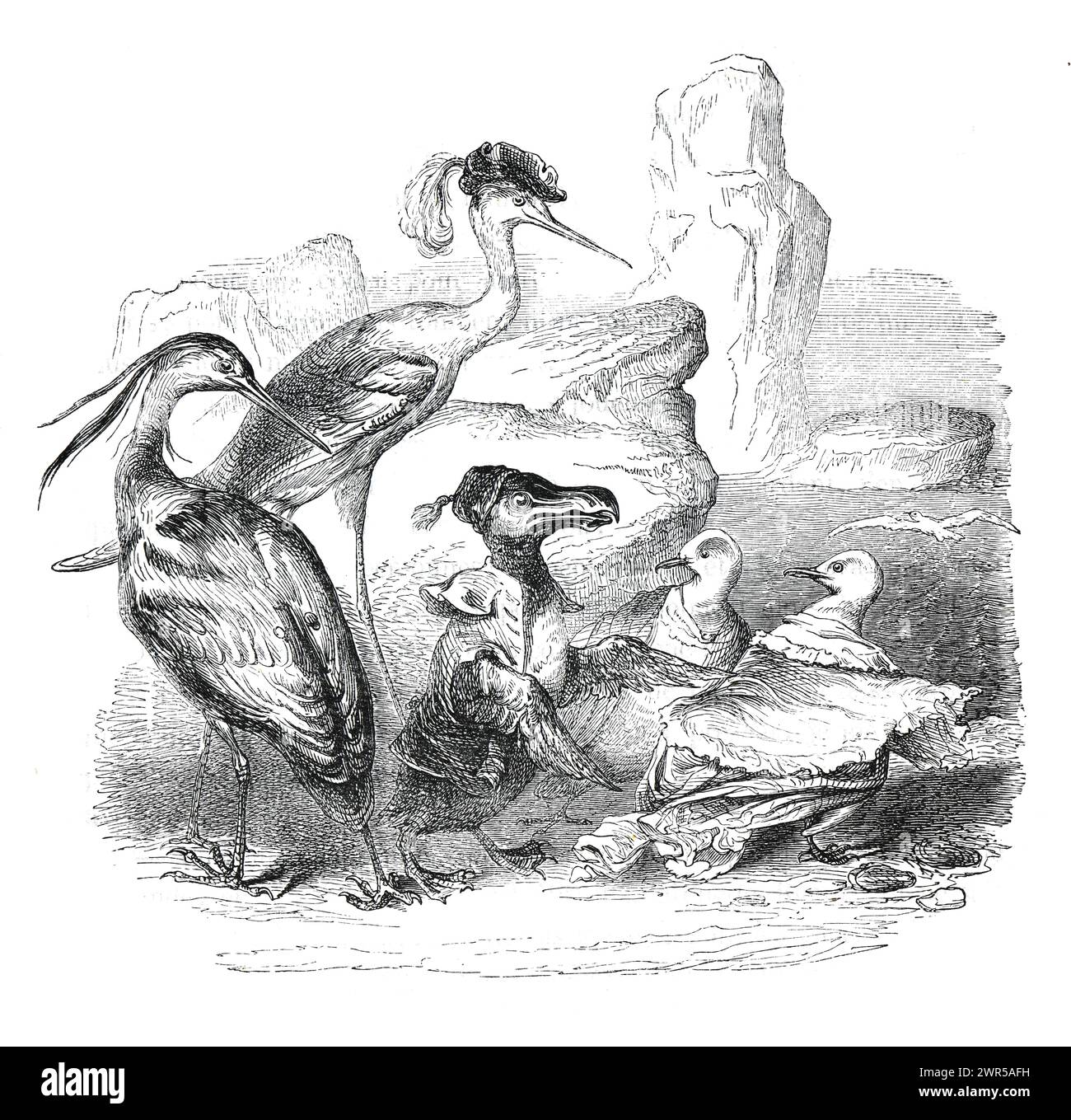 Anthropomorphic animals. humanized birds. bird meeting. cyborg animals ...