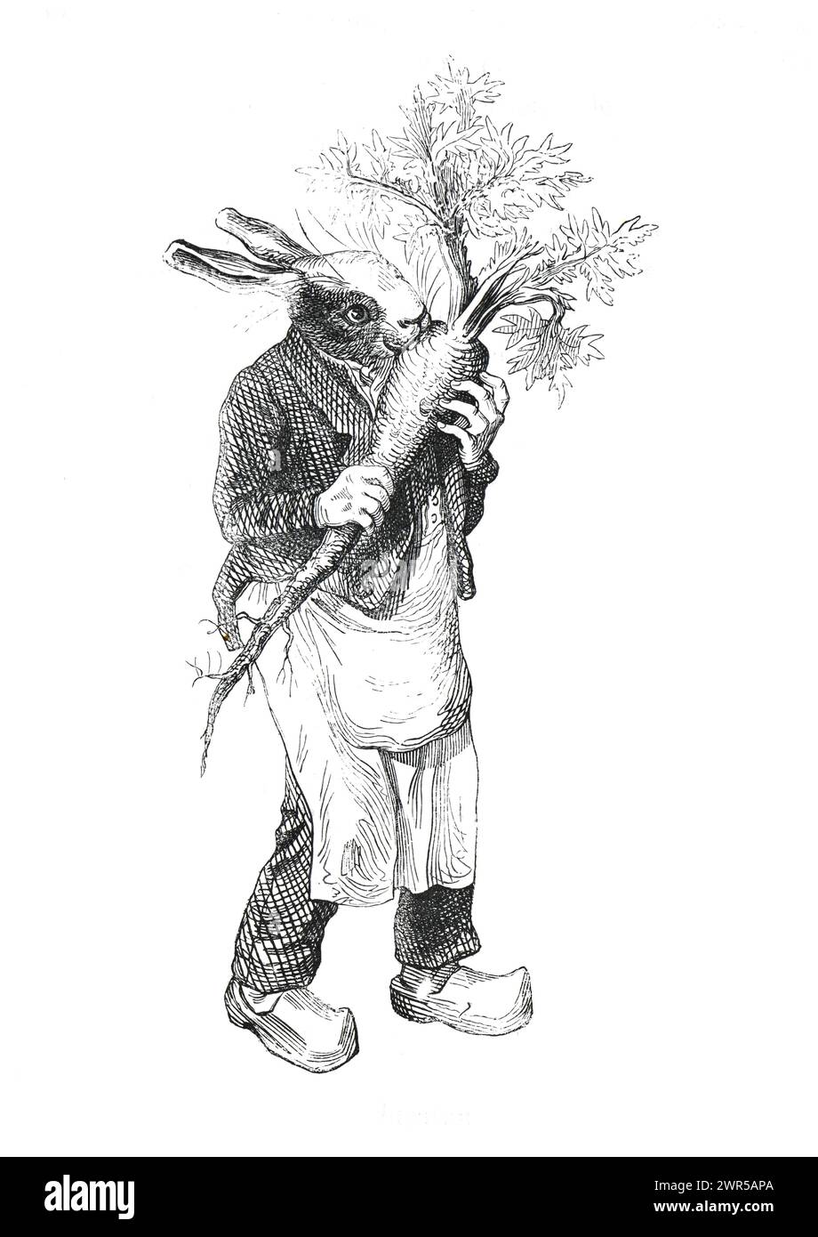 Anthropomorphic animals. humanized rabbit. cyborg animals. CRISPR. CAS9 ...