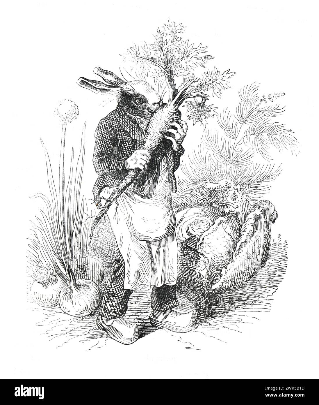 Anthropomorphic animals. humanized rabbit. cyborg animals. CRISPR. CAS9 ...