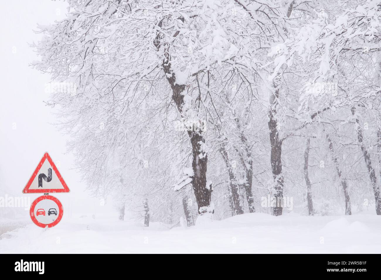 Forest of traffic signs hi-res stock photography and images - Alamy