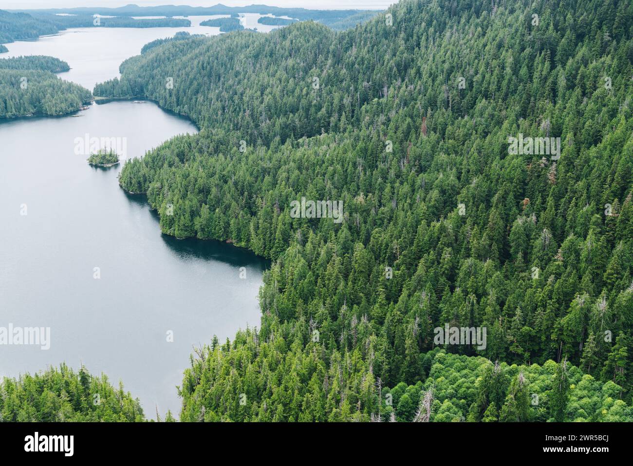 Aerial of Tofino inlet with islands Stock Photo - Alamy