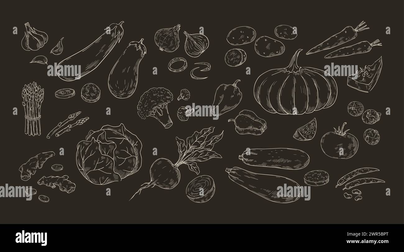 Sketch vegetables. Hand drawn pumpkin, carrot and cabbage. Vegetarian ...