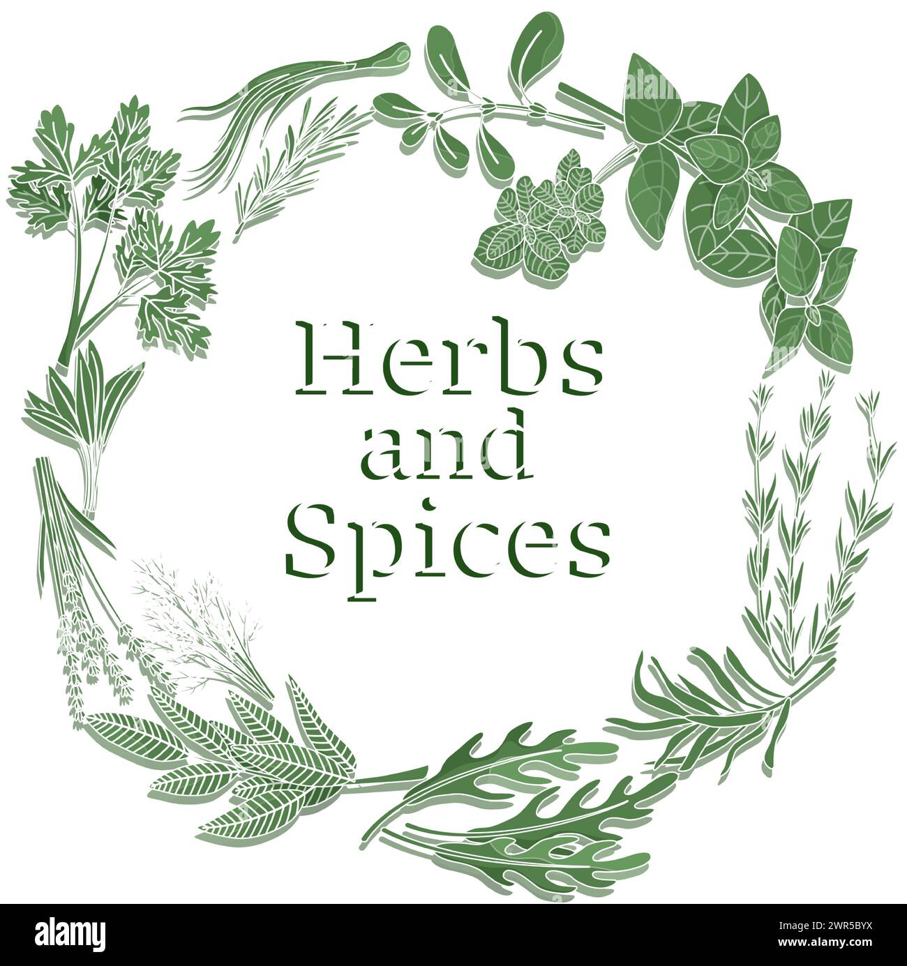 Herbs and spices. Hand drawn leaves. Round frame. Peppermint basil ...