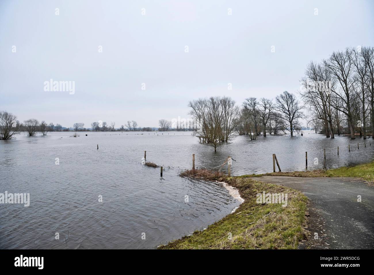 Elbdeich bei Damnatz, Hochwasser der Elbe hat die gesamte Flussaue und ...