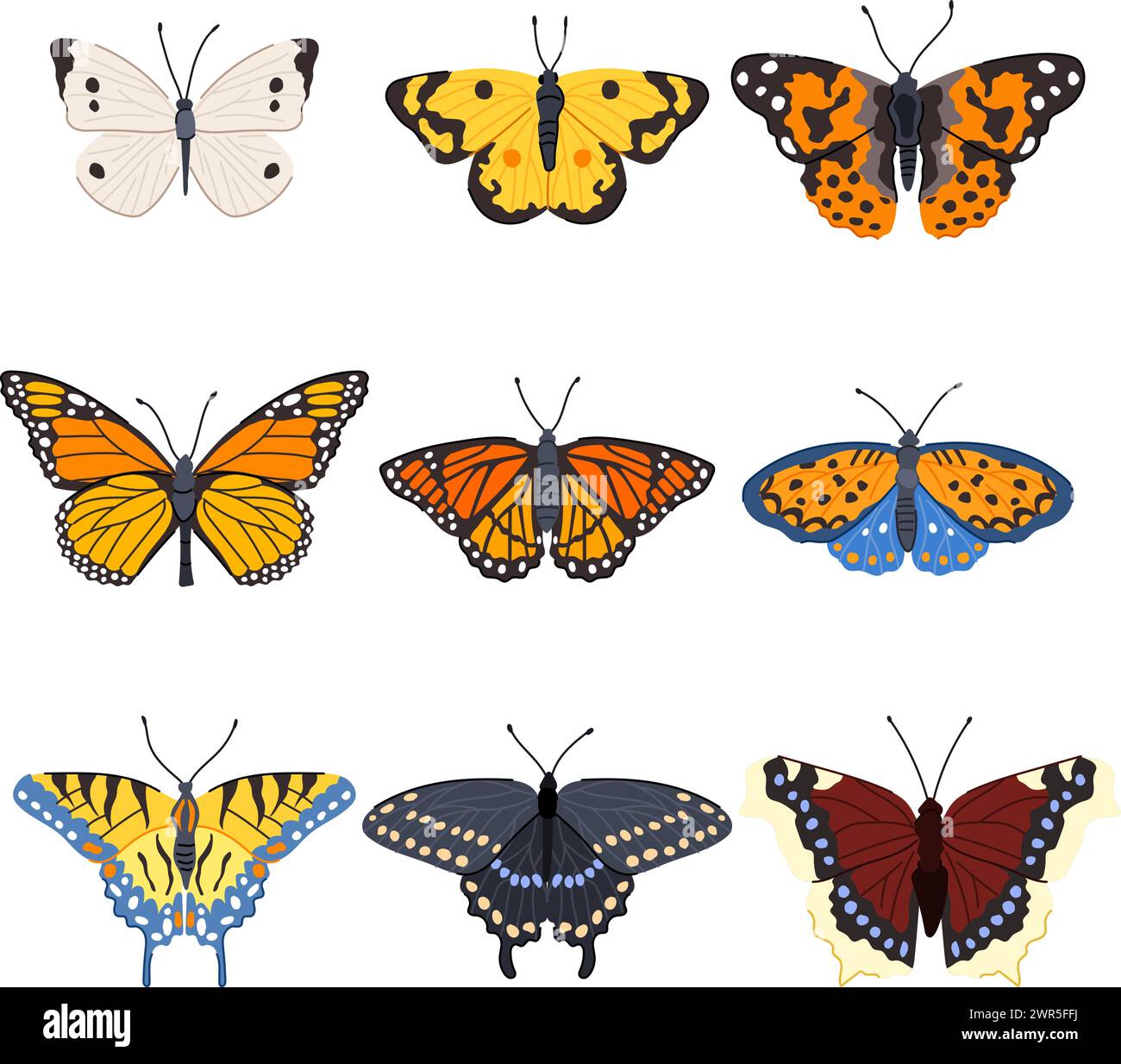 butterfly set cartoon vector illustration Stock Vector Image & Art - Alamy