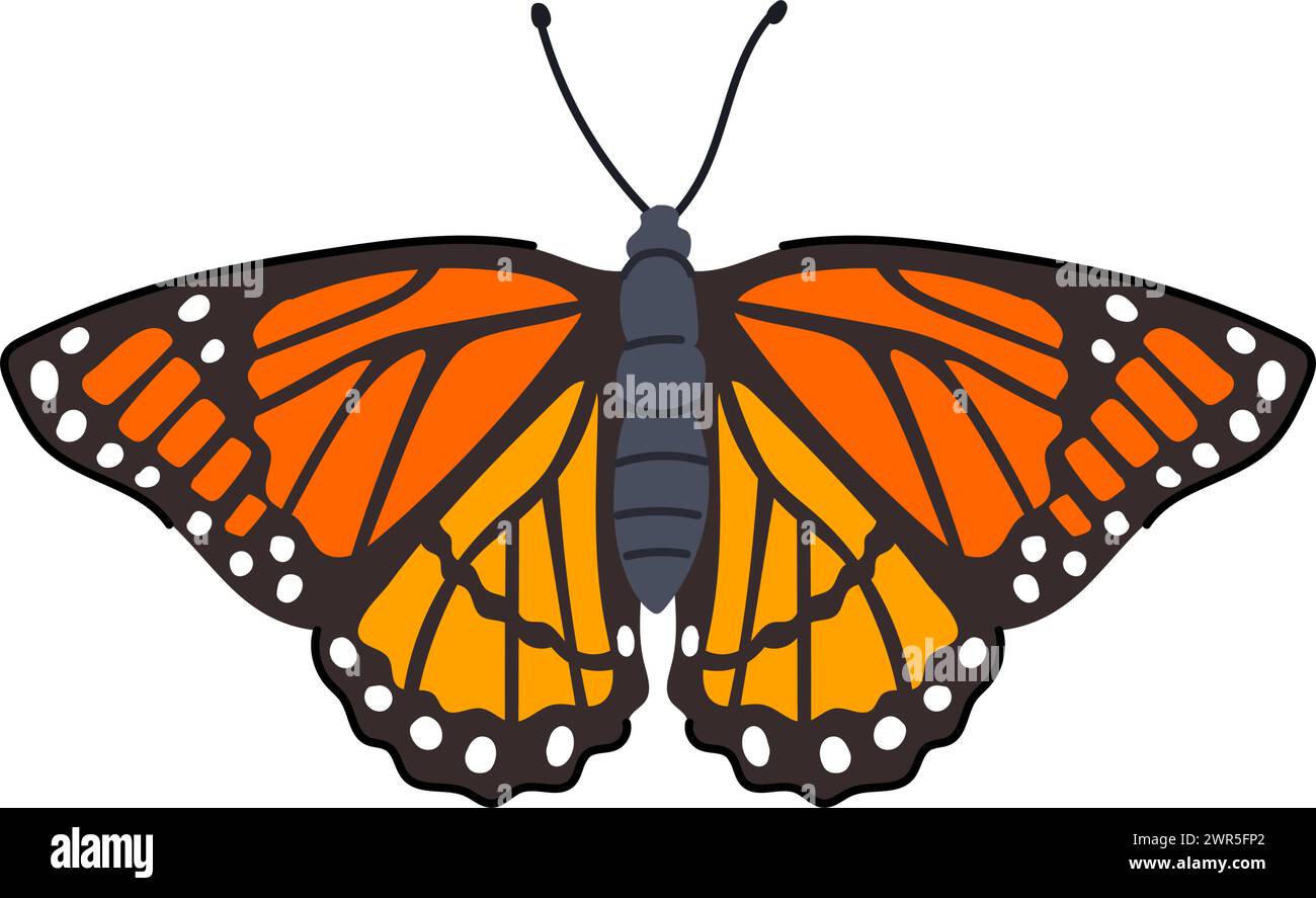 Cartoon Monarch Butterfly