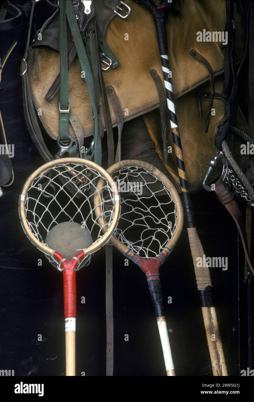 Polocrosse hi-res stock photography and images - Alamy