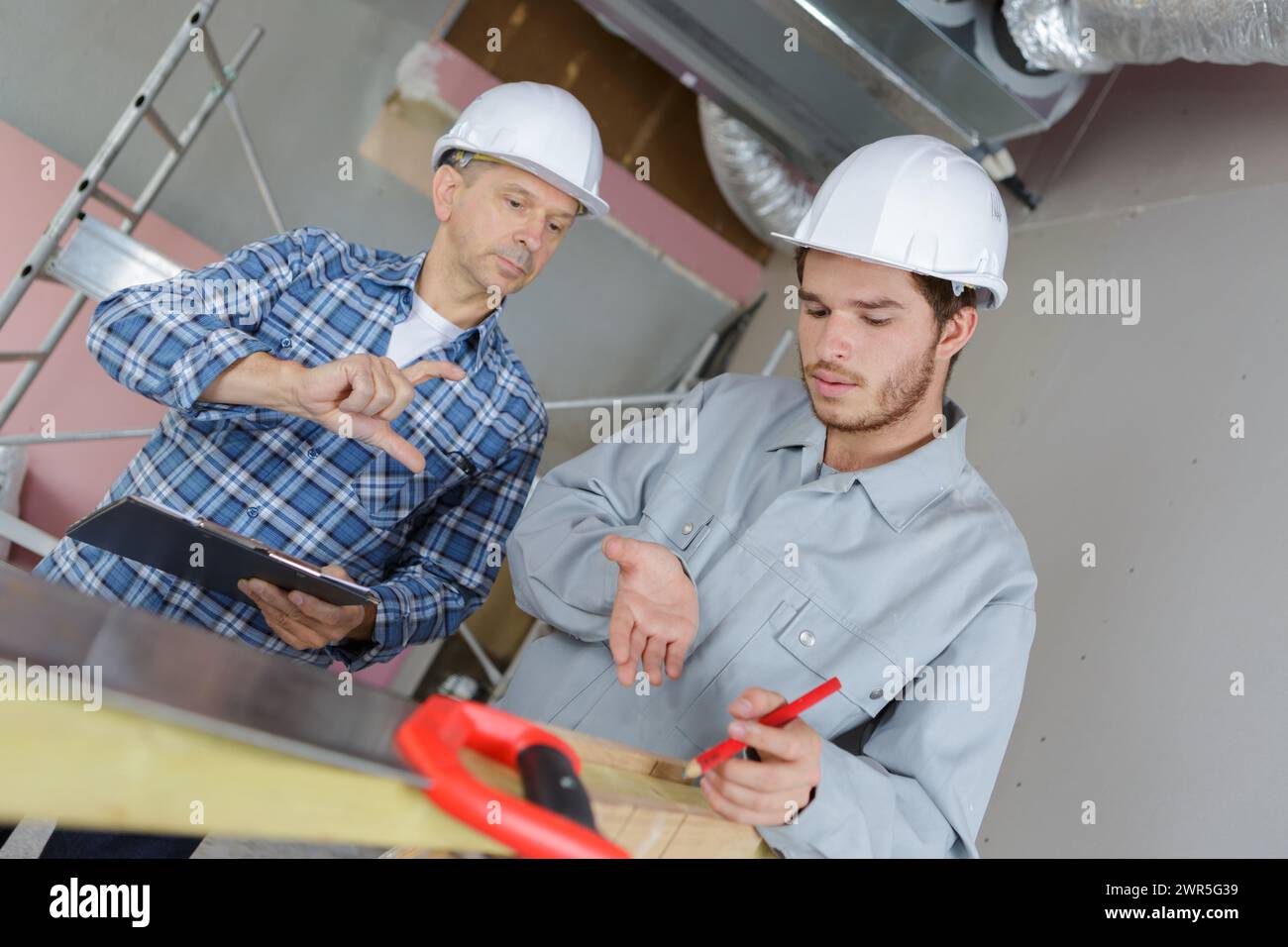 two carpenters are analyzing construction measurements Stock Photo - Alamy