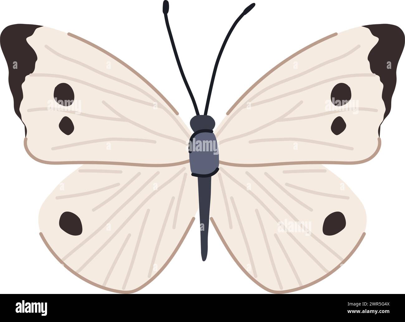 animal butterfly cartoon vector illustration Stock Vector Image & Art ...