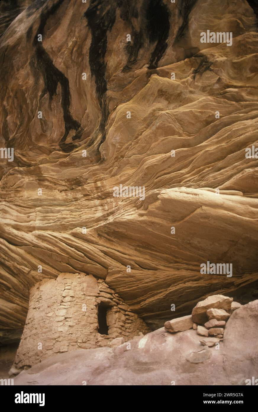 Grand Gulch, Utah, USA Stock Photo - Alamy