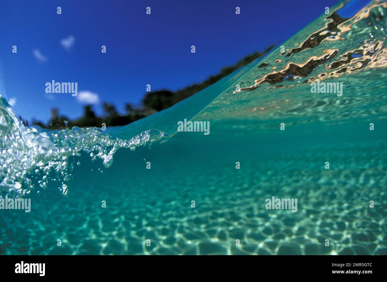 A sea wave photographed at water level, at Waimea Bay on Oahu's north ...