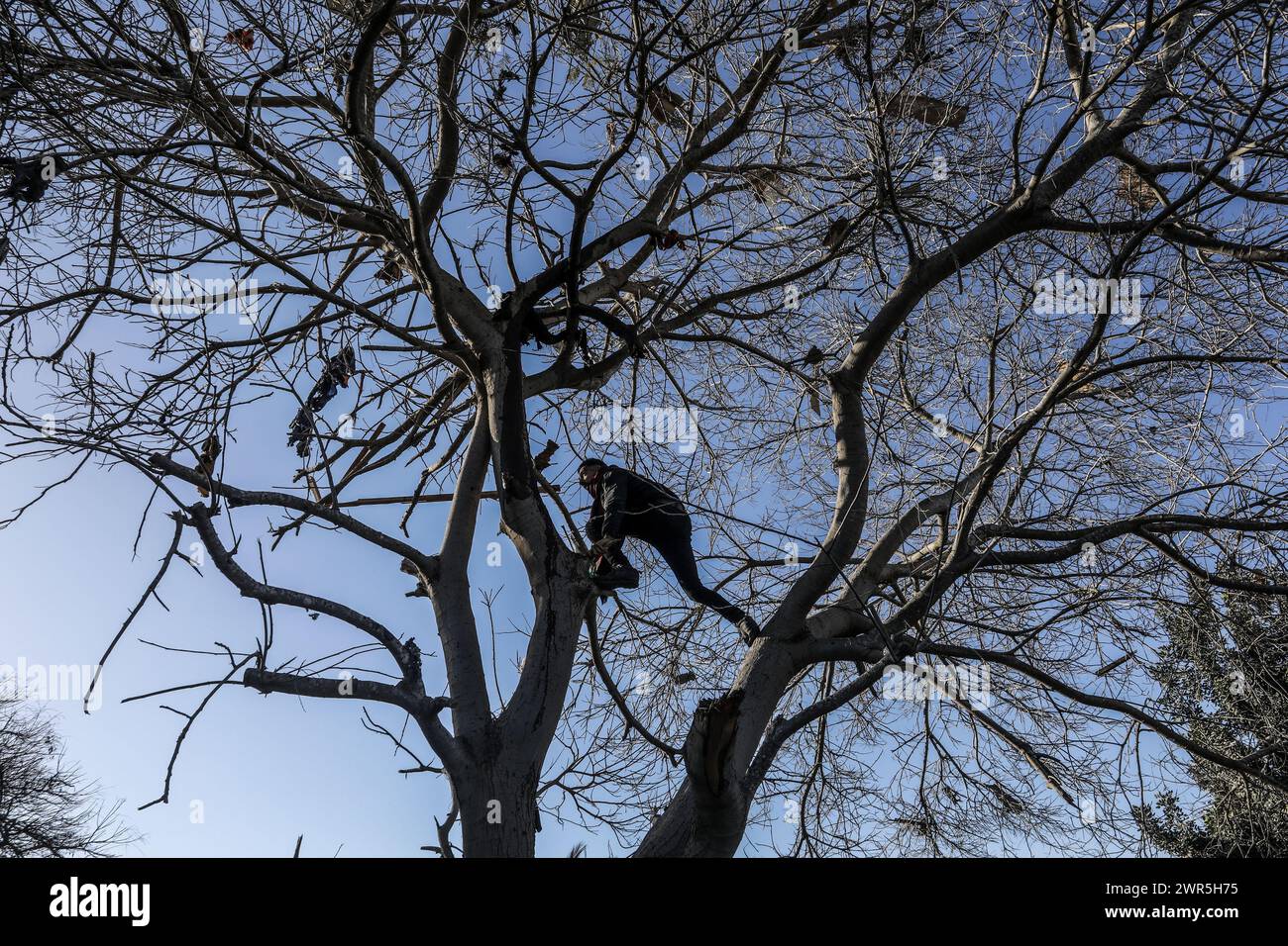 11 March 2024, Palestinian Territories, Rafah: A Palestinian man climbs ...