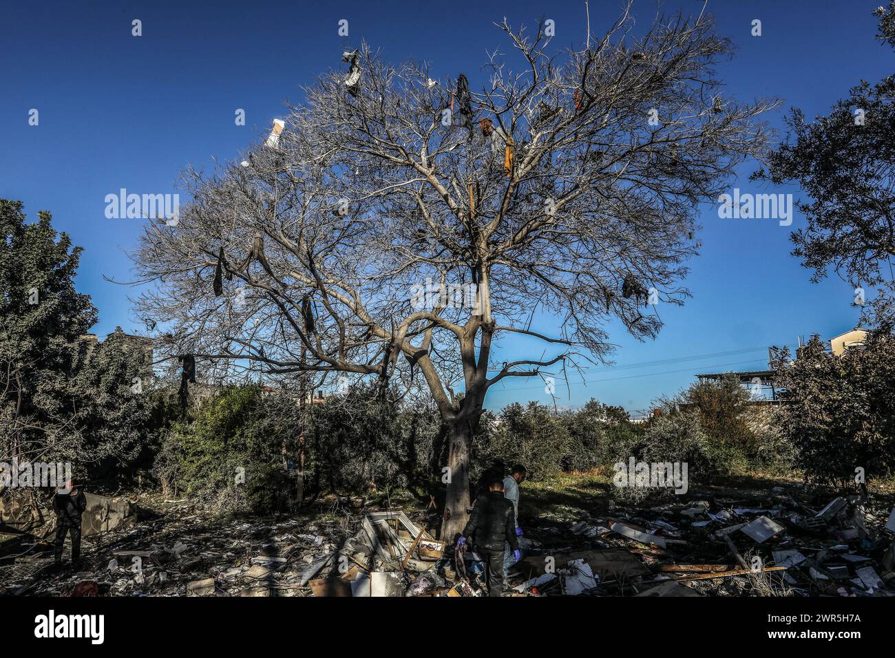 Man climbs the tree hi-res stock photography and images - Alamy