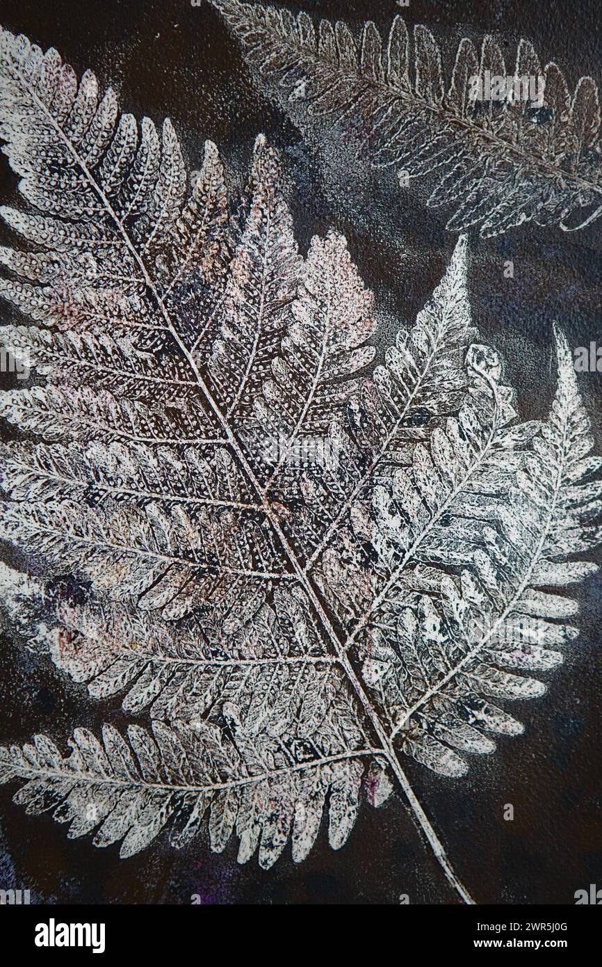 Fern Leaf print art Stock Photo - Alamy