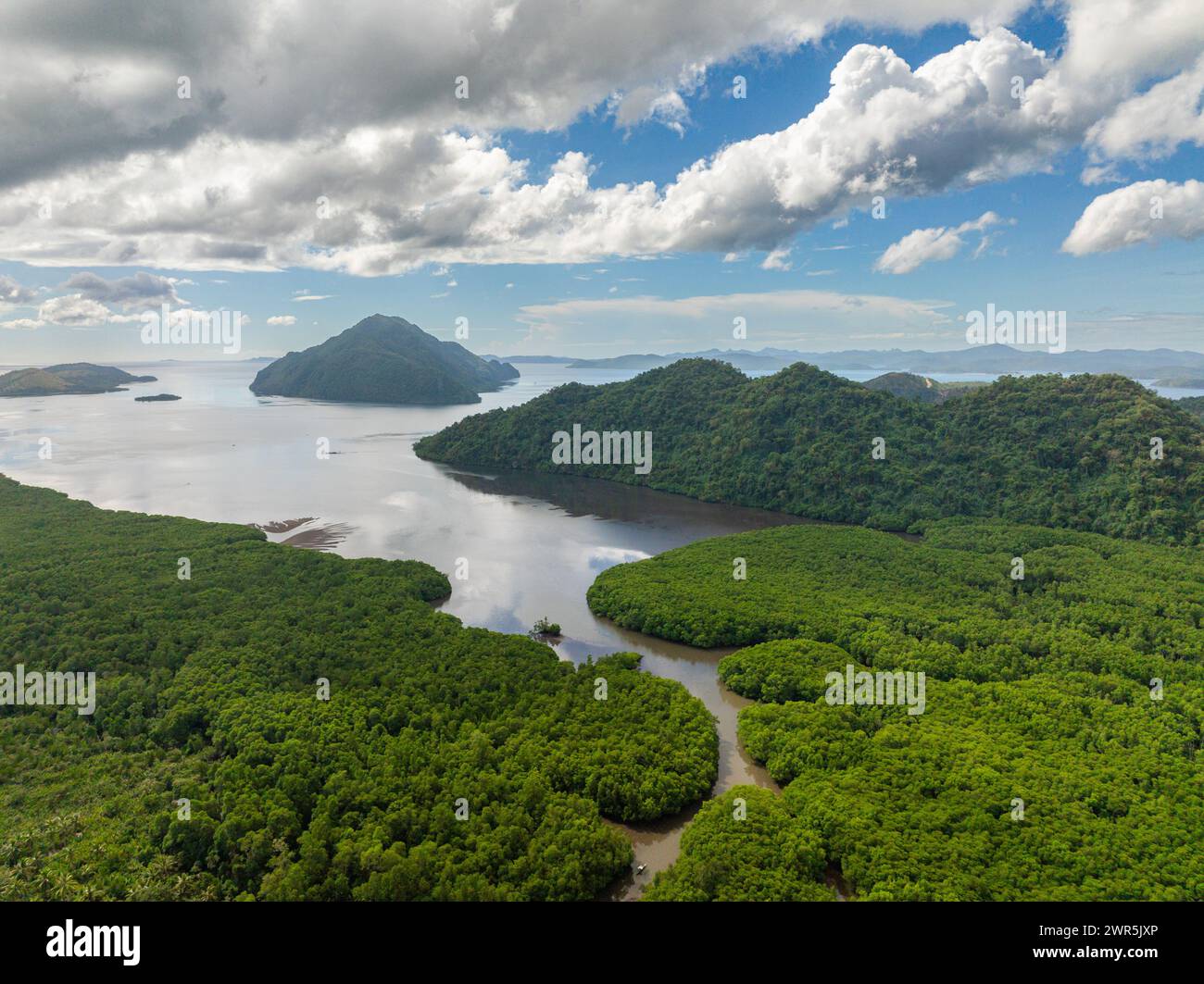 Philippines palawan mangroves forest hi-res stock photography and ...