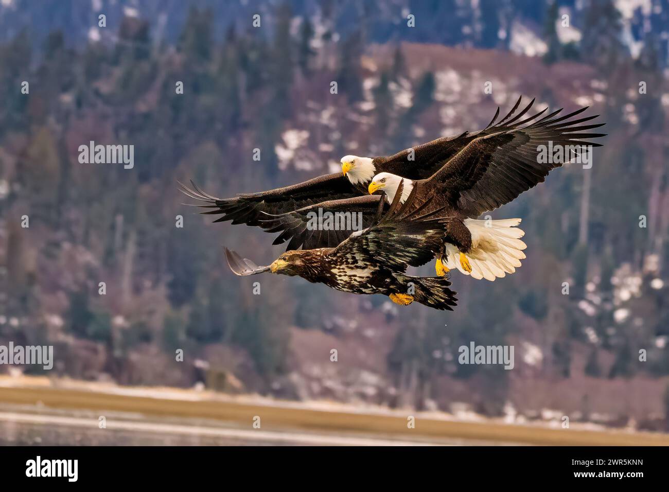 Two majestic mountains hi-res stock photography and images - Alamy