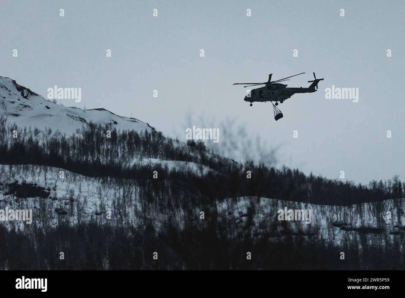 Nordic response nordic response militaer military army army man hi-res ...