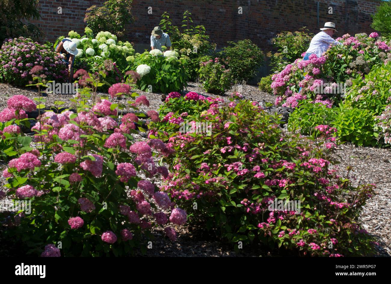 20/06/16 Tucked away in a hidden walled garden of an inner-city public park, the UK’s largest ...
