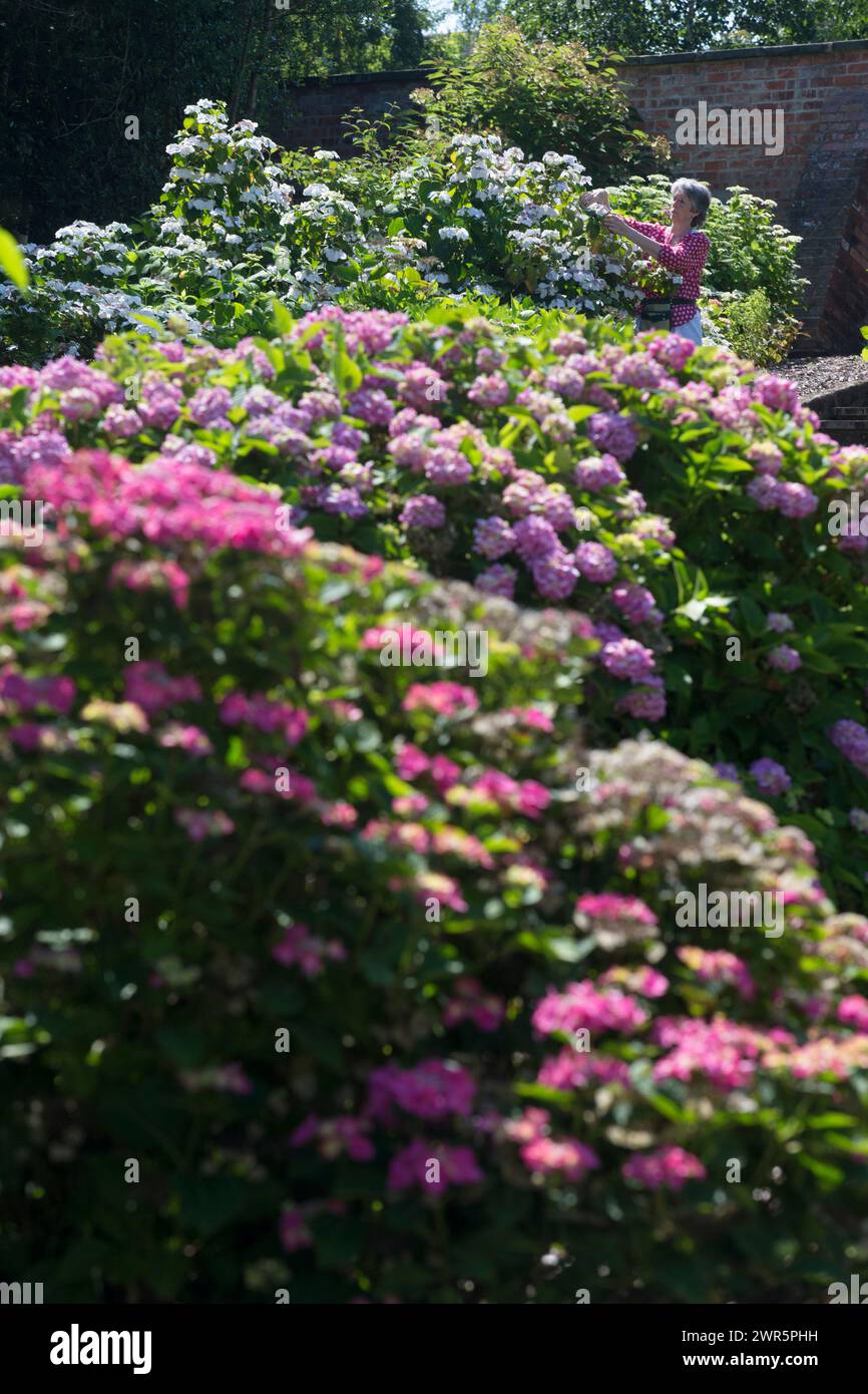 20/06/16 Tucked away in a hidden walled garden of an inner-city public ...