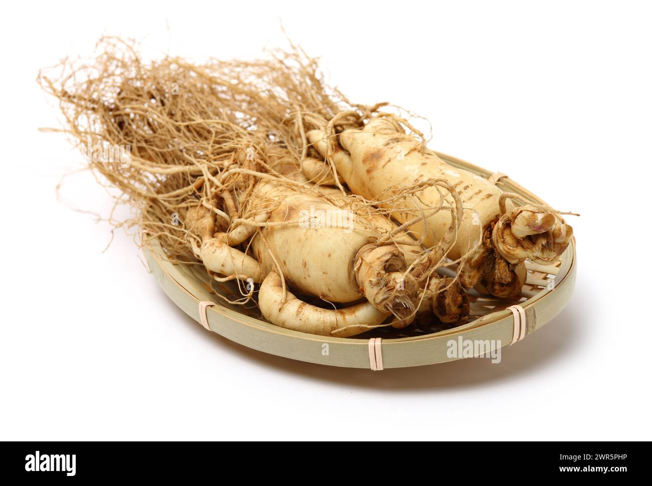 ginseng isolated on white background Stock Photo - Alamy