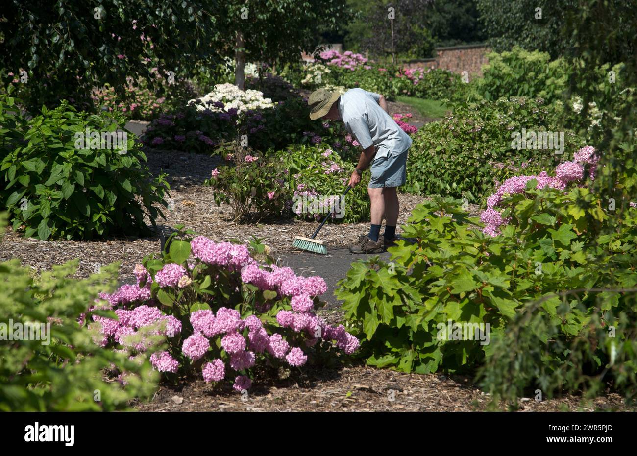 20/06/16 Tucked away in a hidden walled garden of an inner-city public park, the UK’s largest ...
