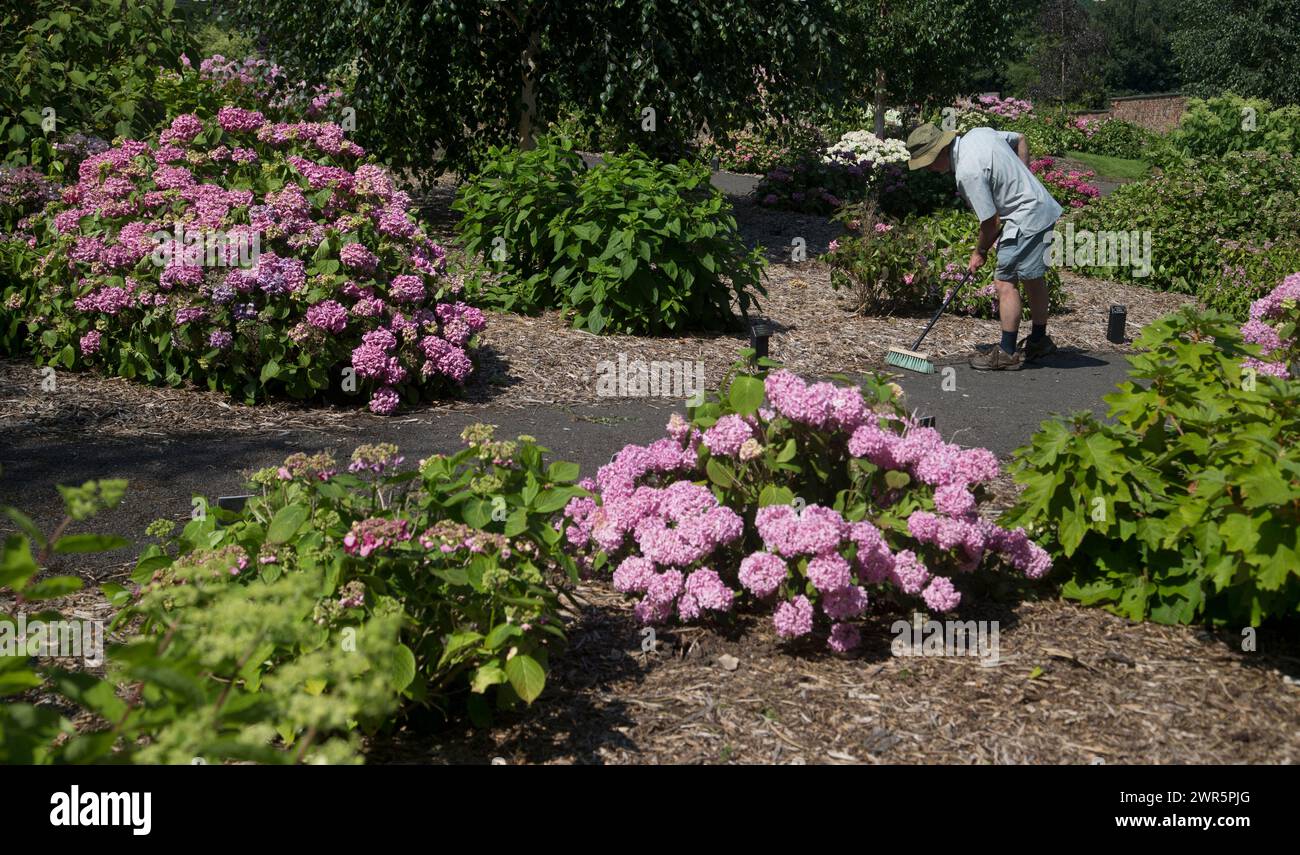 20/06/16 Tucked away in a hidden walled garden of an inner-city public park, the UK’s largest ...