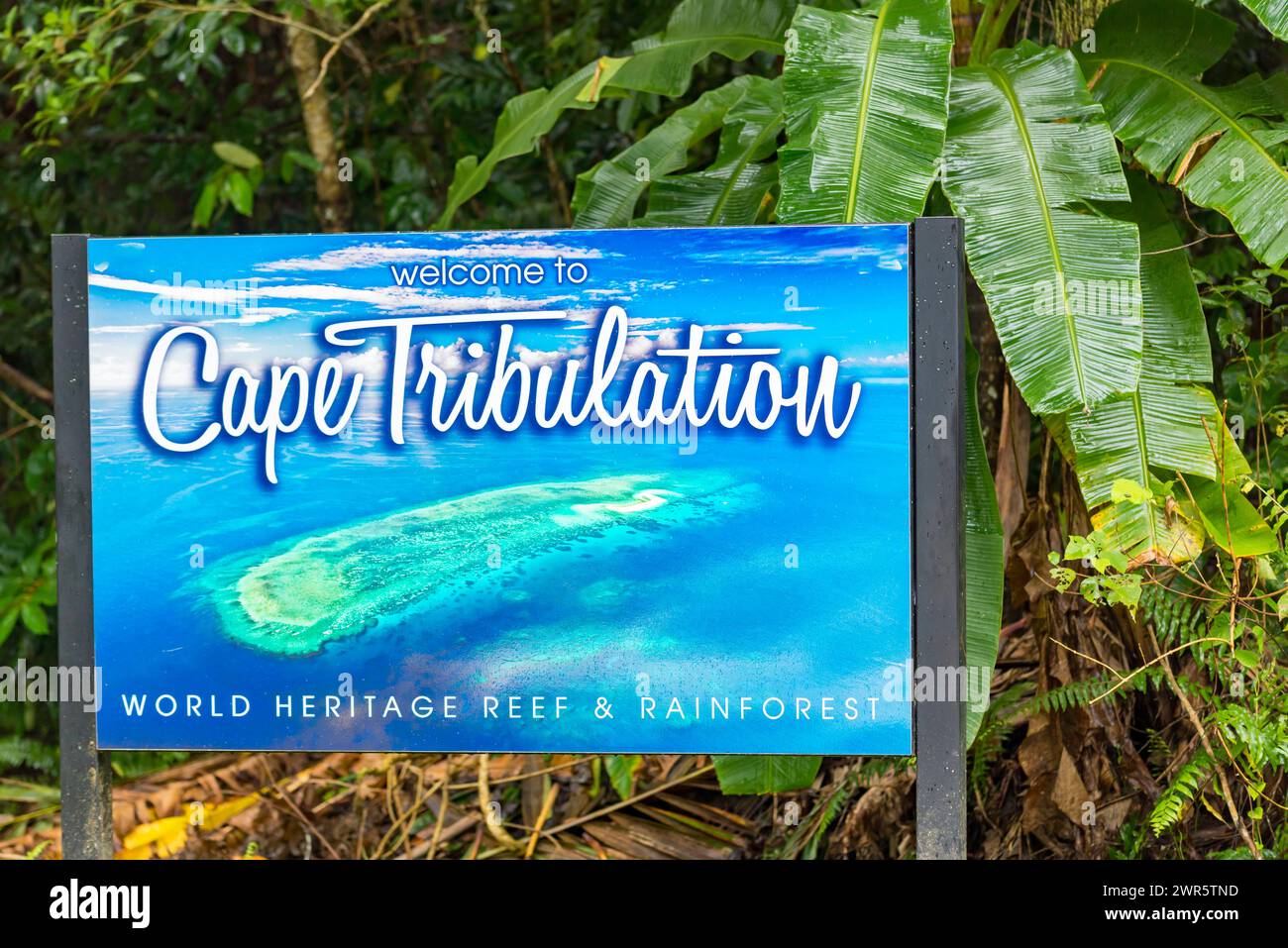 World heritage listed daintree rainforest hi-res stock photography and ...