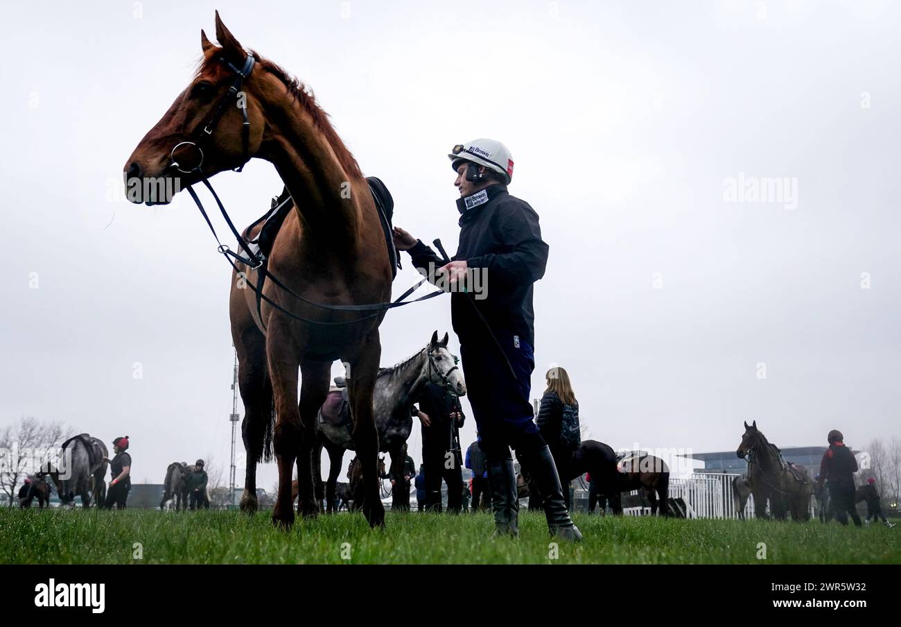 Paul Townend with State Man on the gallops ahead of the 2024 Cheltenham ...