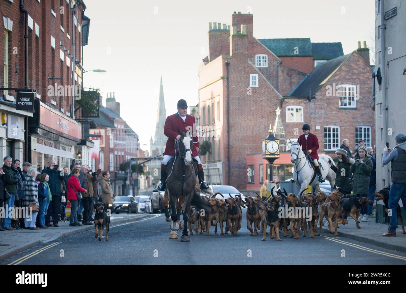 Four shires bloodhounds hi-res stock photography and images - Alamy