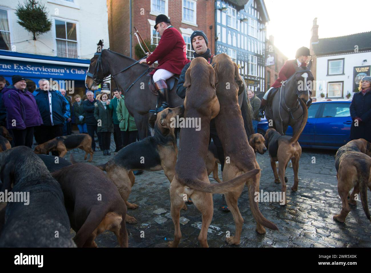 The four shires bloodhounds hi-res stock photography and images - Alamy