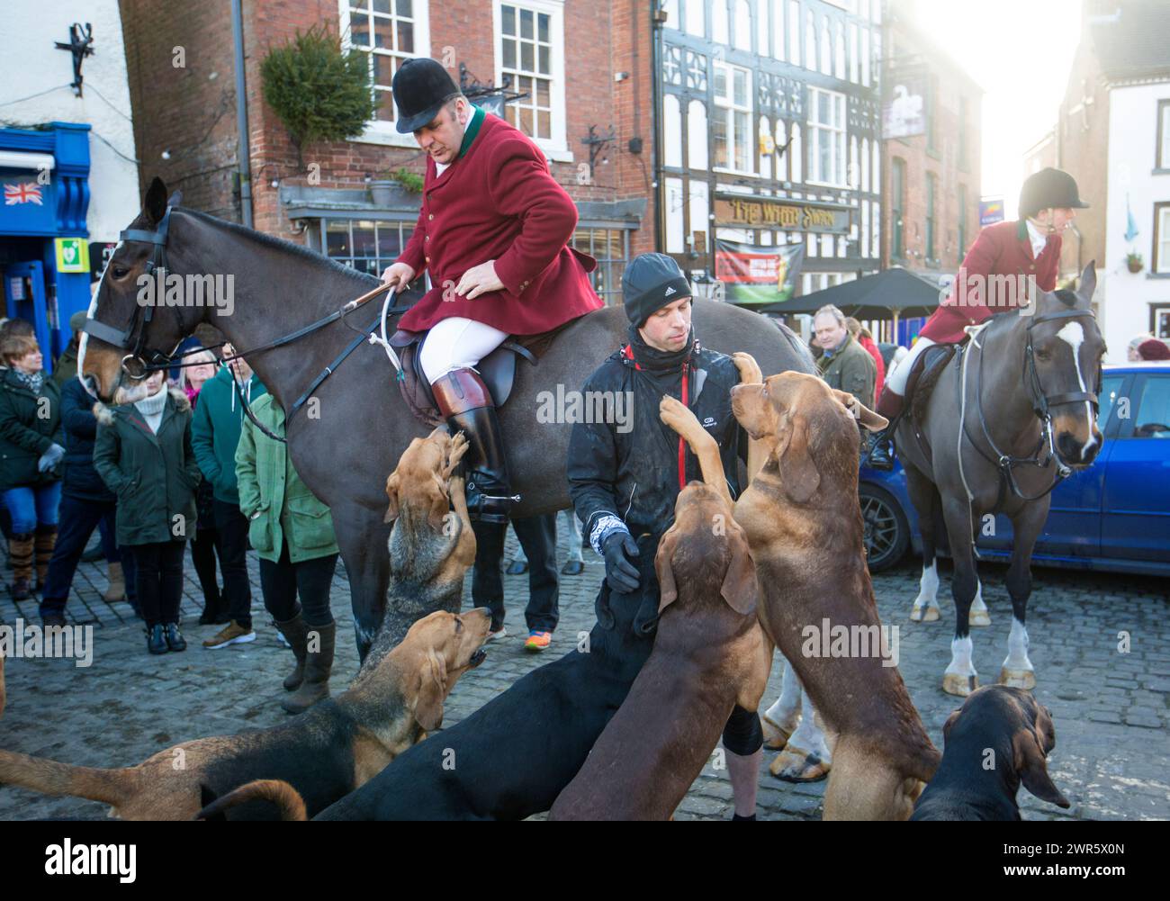 Four shires bloodhounds hi-res stock photography and images - Alamy