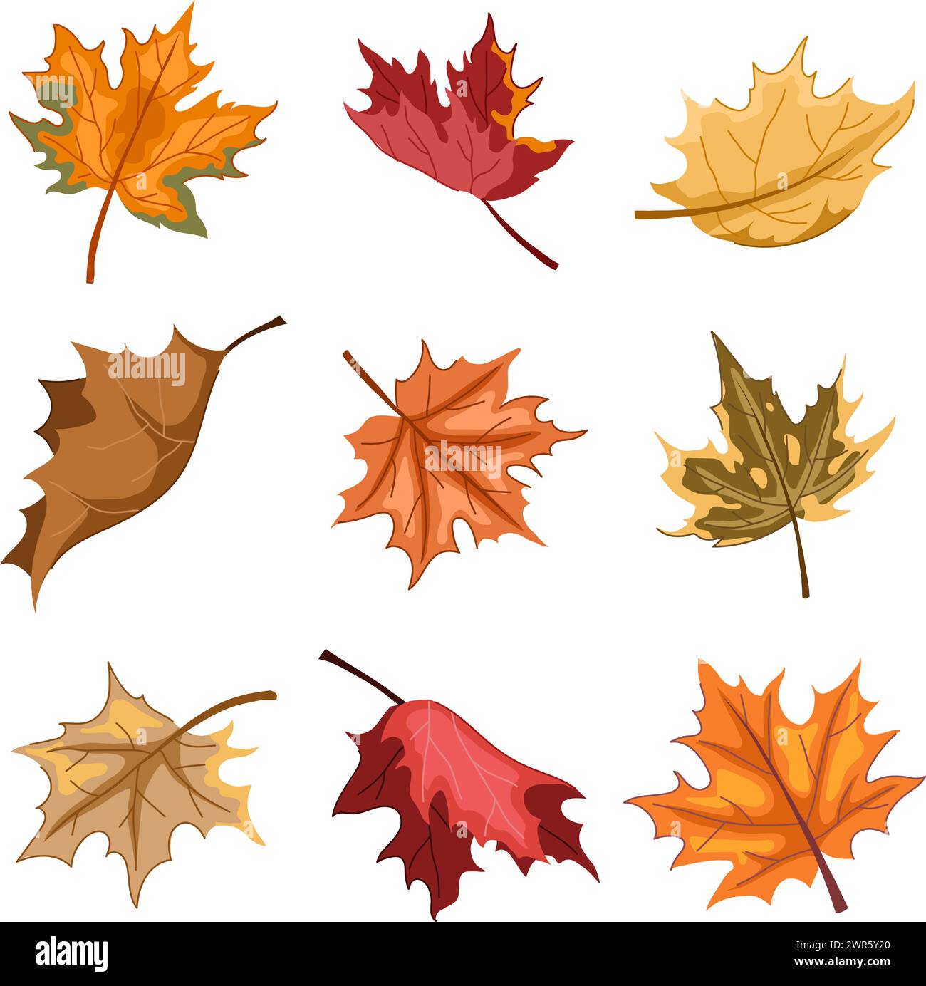 maple leaf set cartoon vector illustration Stock Vector Image & Art - Alamy