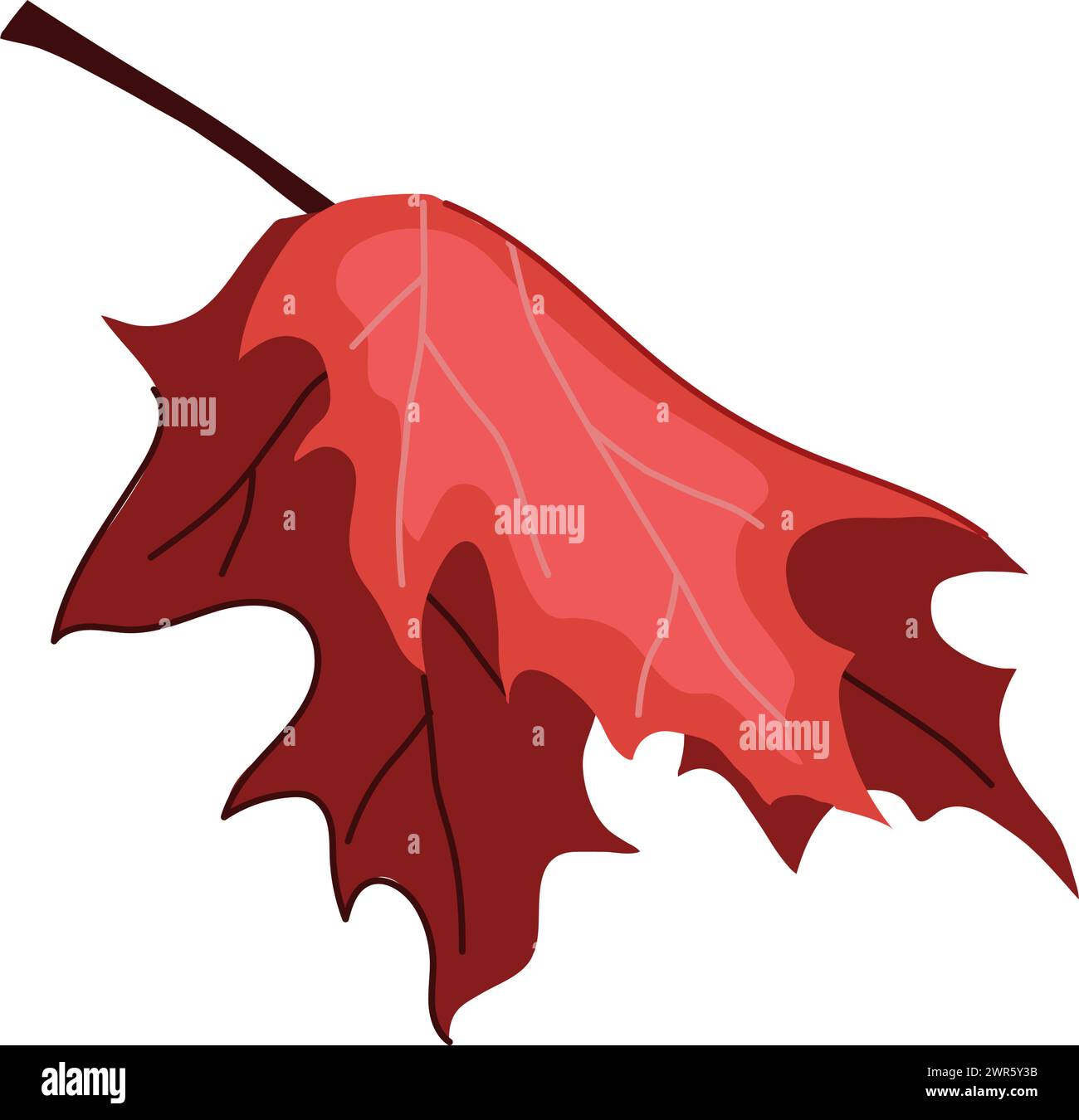 Canada Maple Leaf Cartoon Vector Illustration Stock Vector Image And Art