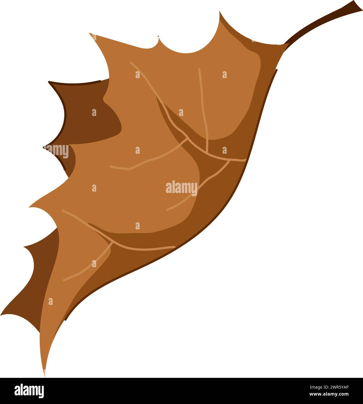 foliage maple leaf cartoon vector illustration Stock Vector Image & Art ...