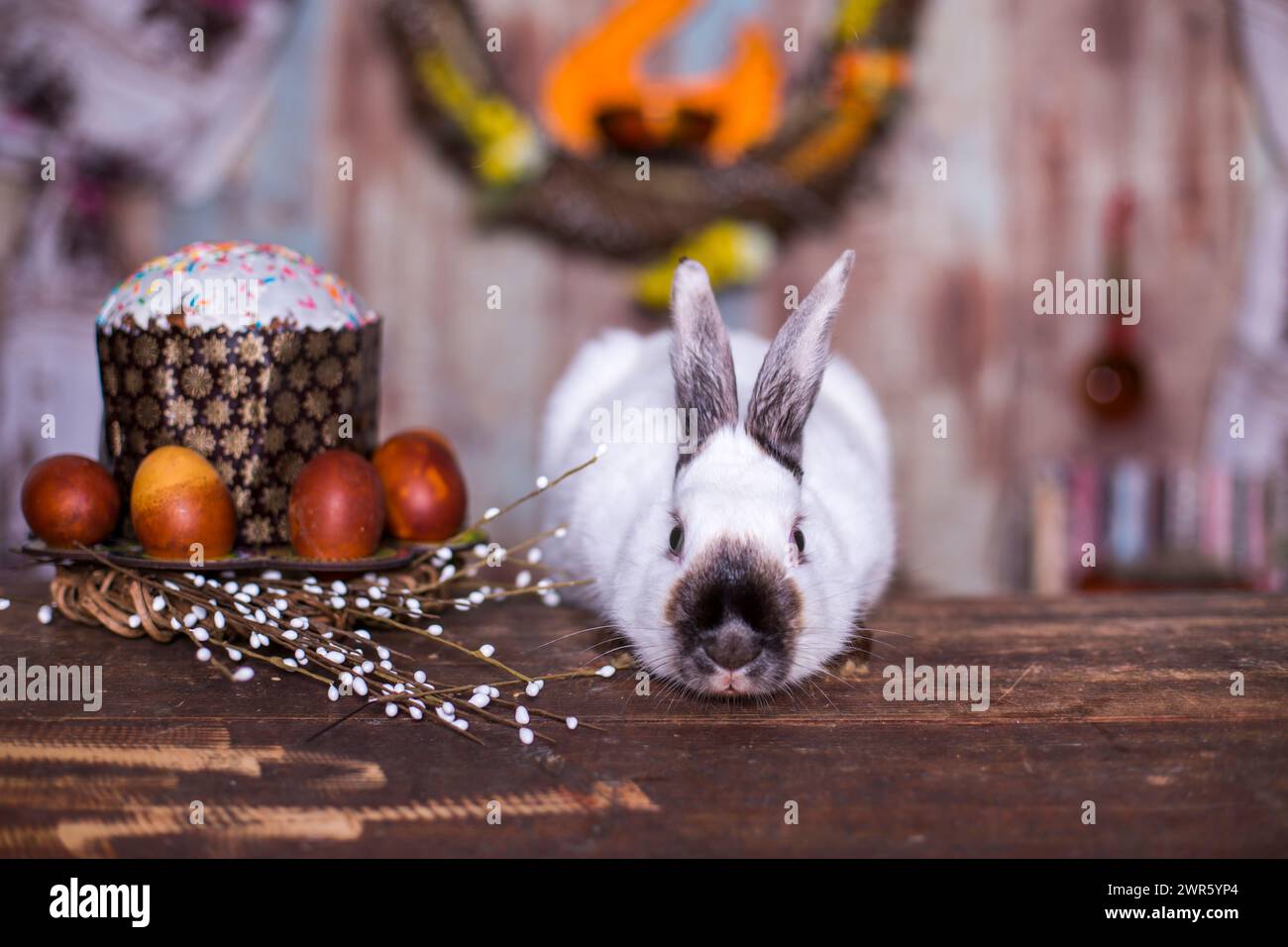 Fluffy foxy white rabbit with Easter eggs Stock Photo - Alamy
