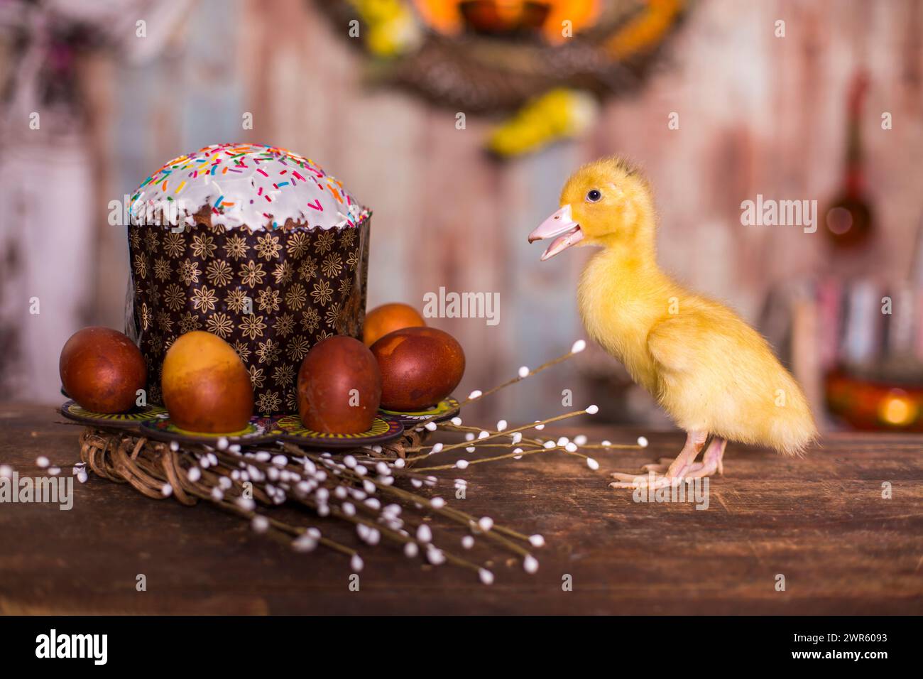 Easter concept ducklings in basket hi-res stock photography and images ...