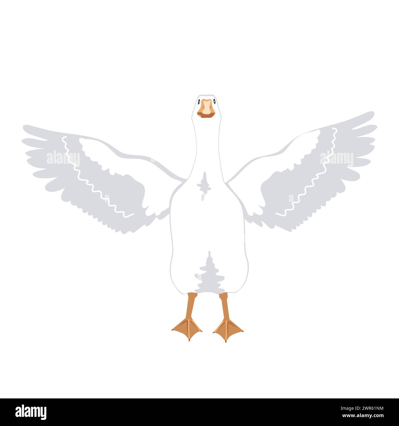 White goose spreads and flapping its wings. Vector isolated ...