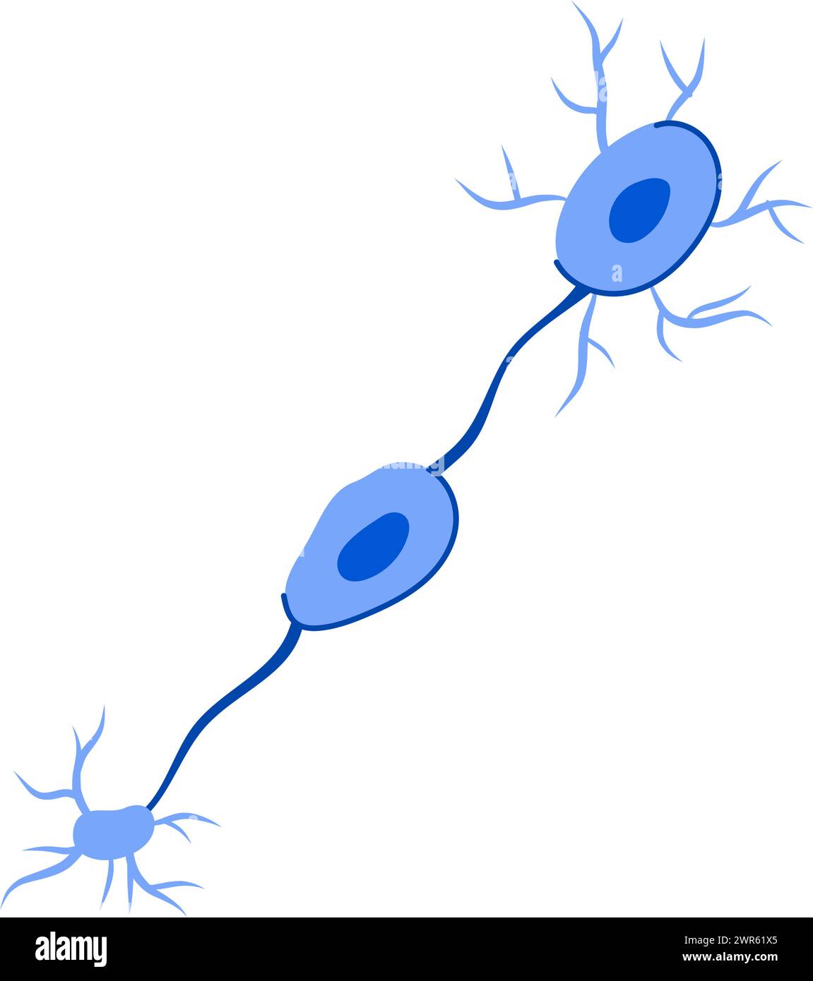 neural neurons cartoon vector illustration Stock Vector Image & Art - Alamy