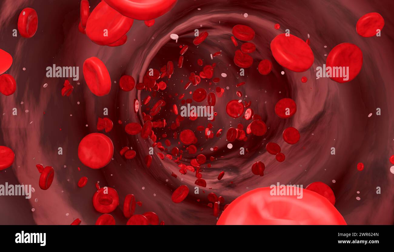 Blood cells flowing through the vein. Blood cells flowing through the ...