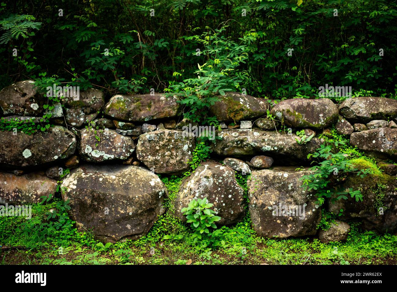 Tohua Koueva Archaeological Site Stock Photo - Alamy