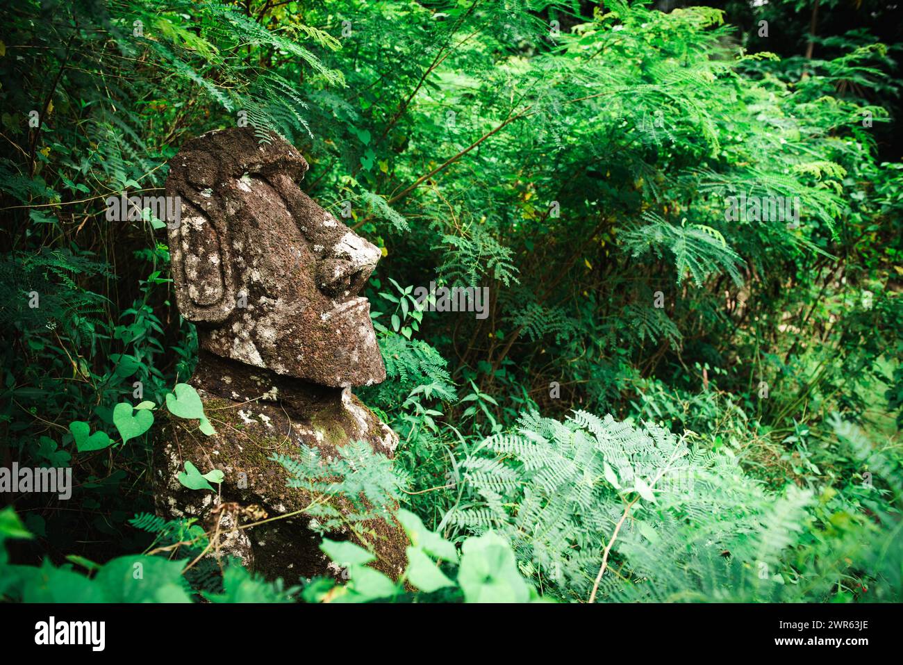 Moai Tiki Carving at Tohua Koueva Archaeological Site, Taiohae, Nuku ...