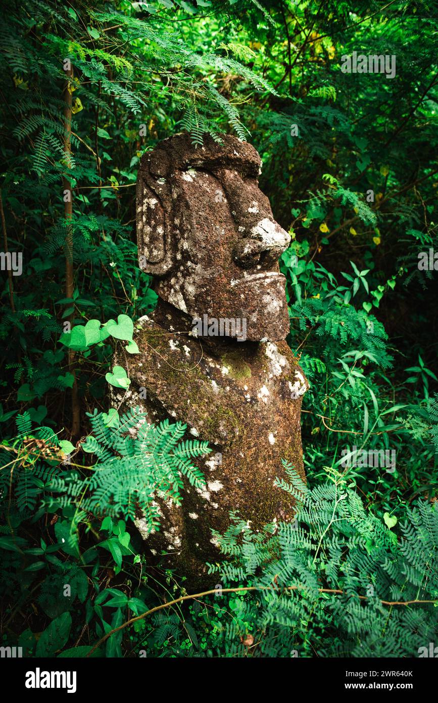 Moai Tiki Carving at Tohua Koueva Archaeological Site, Taiohae, Nuku ...